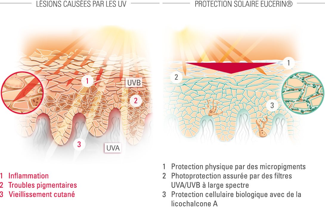 Dans les coulisses de la science d’Protection solaire | Eucerin