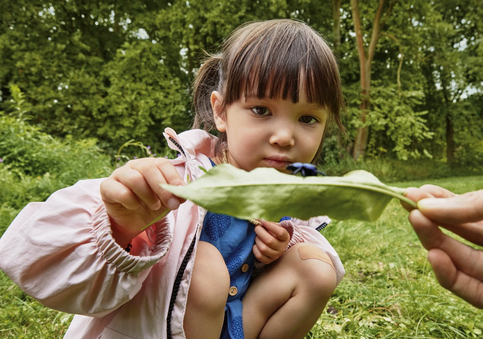 Insectenbeten: herkennen & behandelen | Hansaplast